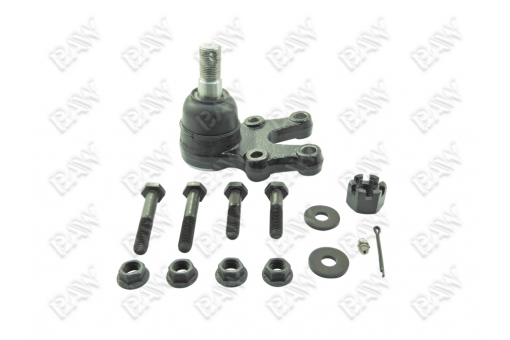 BA003 - FAST INT’L INVESTMENT LIMITED,S.A.DE C.V.