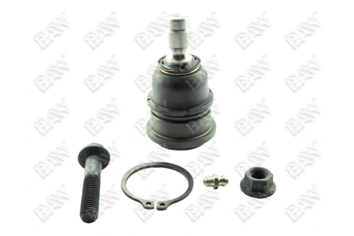 BA217 - FAST INT’L INVESTMENT LIMITED,S.A.DE C.V.