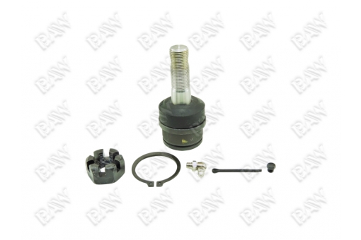 BA227 - FAST INT’L INVESTMENT LIMITED,S.A.DE C.V.