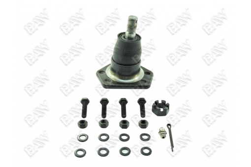 BA250 - FAST INT’L INVESTMENT LIMITED,S.A.DE C.V.